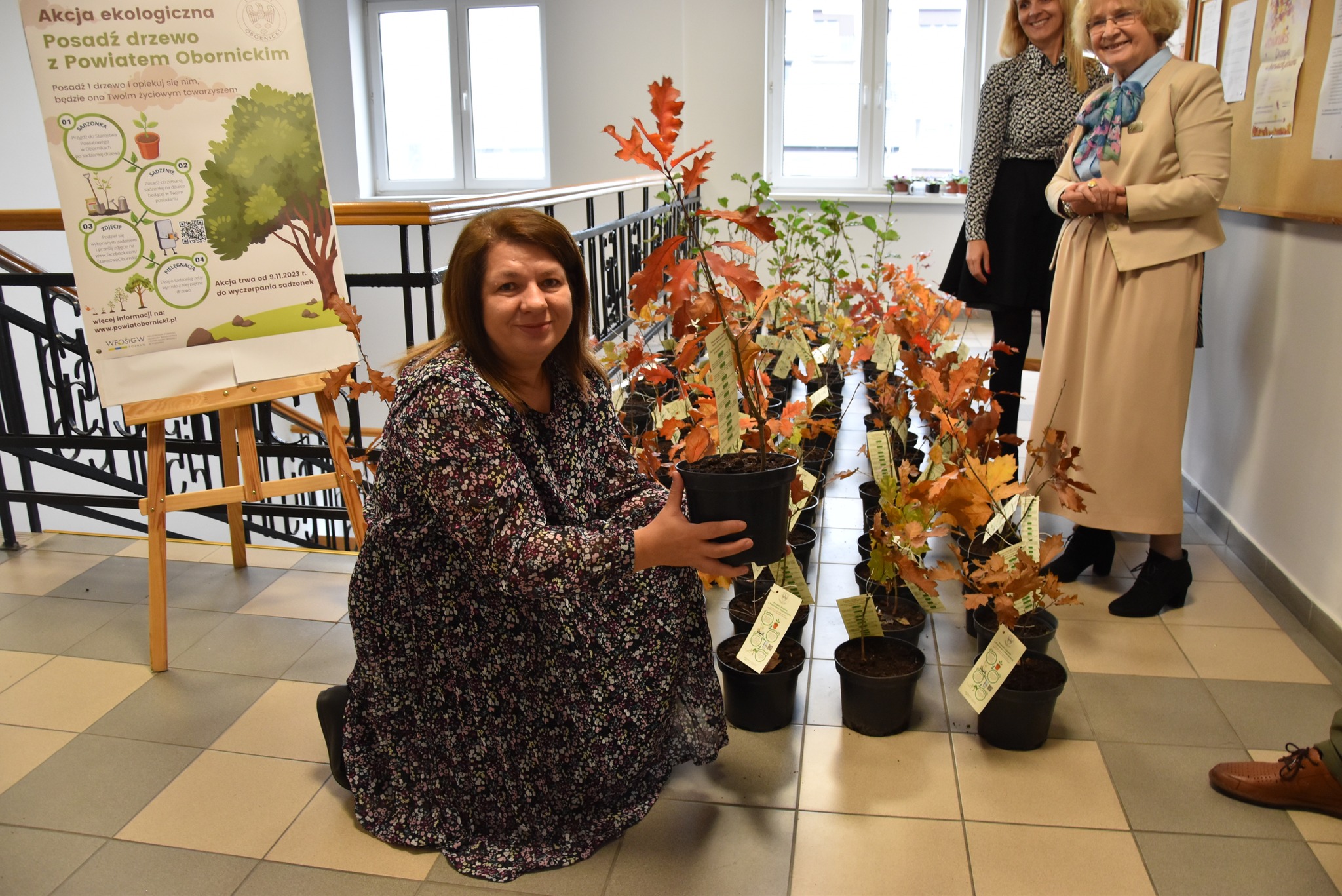 Posadź drzewo z powiatem obornickim! - Radio Poznań