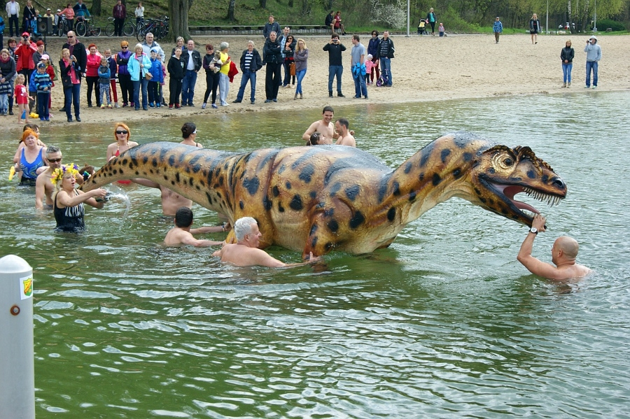Dinozaur w wodzie - to allozaur! - Radio Poznań
