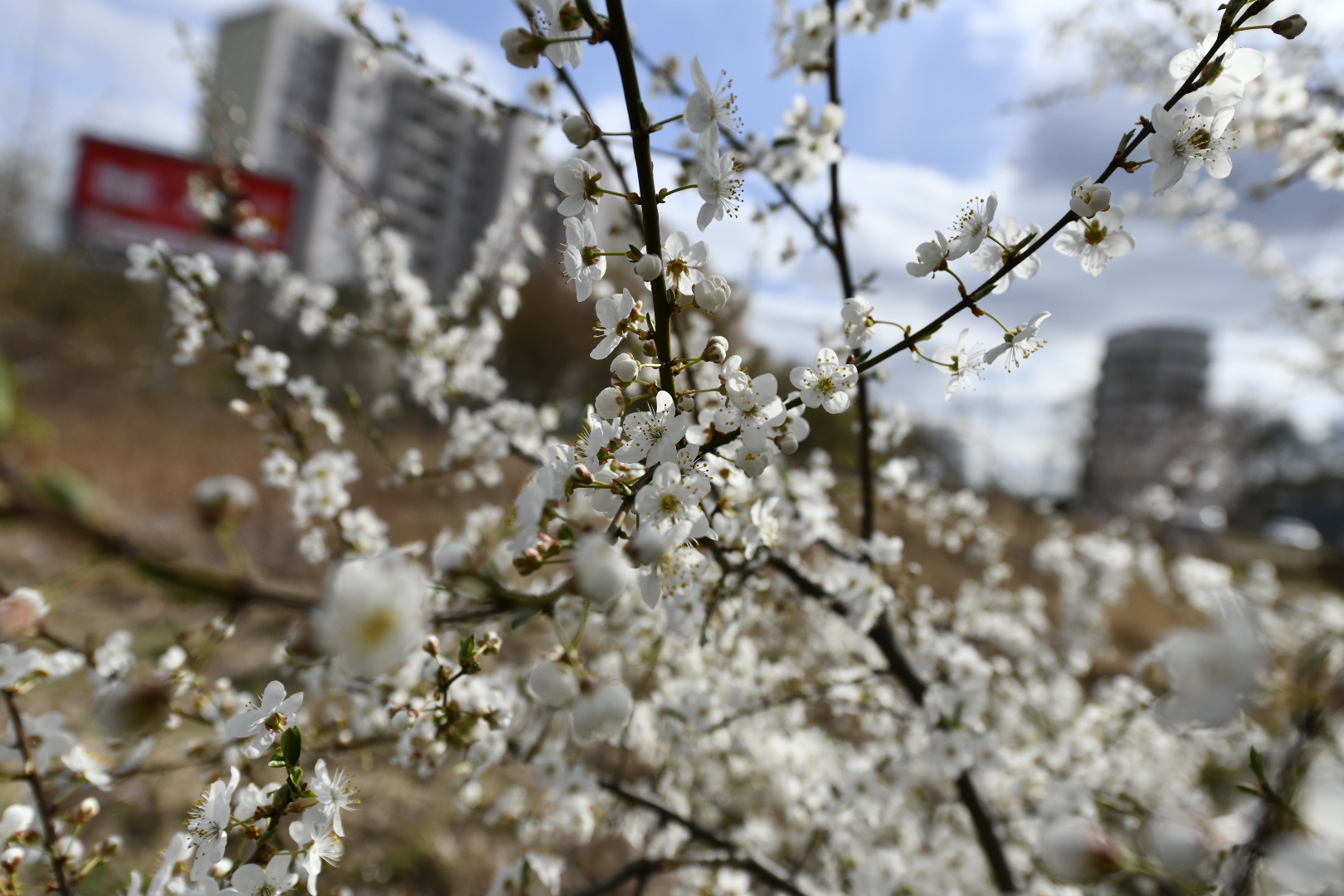 Ekspert: ciepły luty nie jest zwykłą anomalią; to obraz systemowej ...