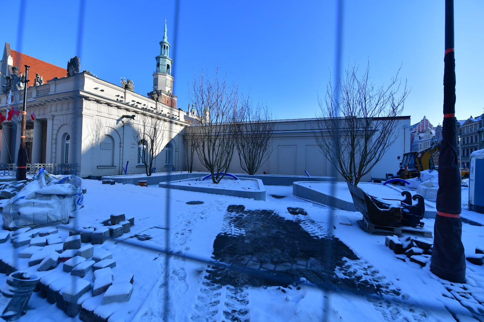 Śnieg i mróz nie przeszkodziły w sadzeniu drzew na poznańskim Starym ...